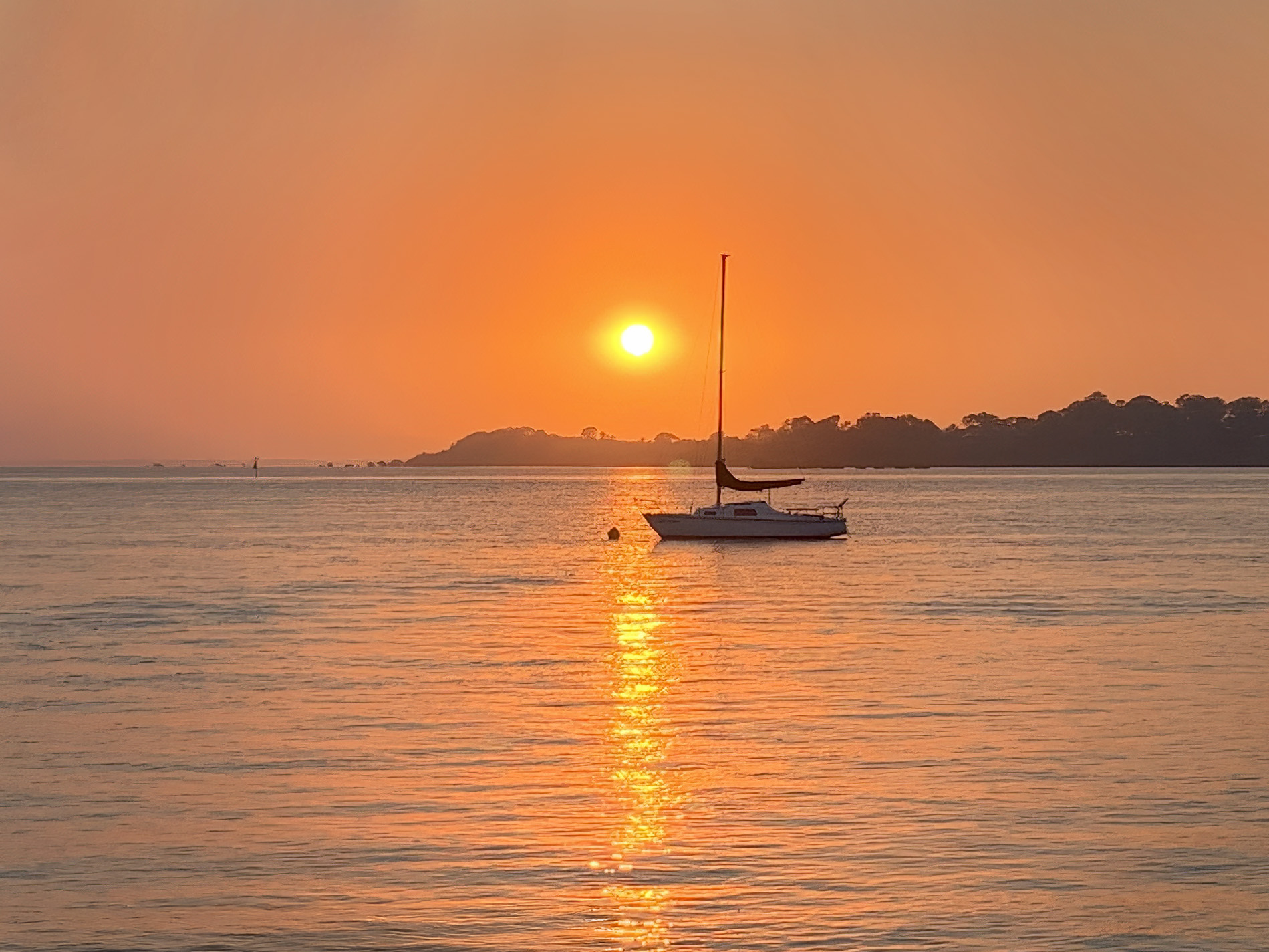 Login - Insight MENA